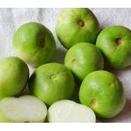 Buy Fruits & Vegetables Online at Best Price. | IndusFresh.co.uk for ...